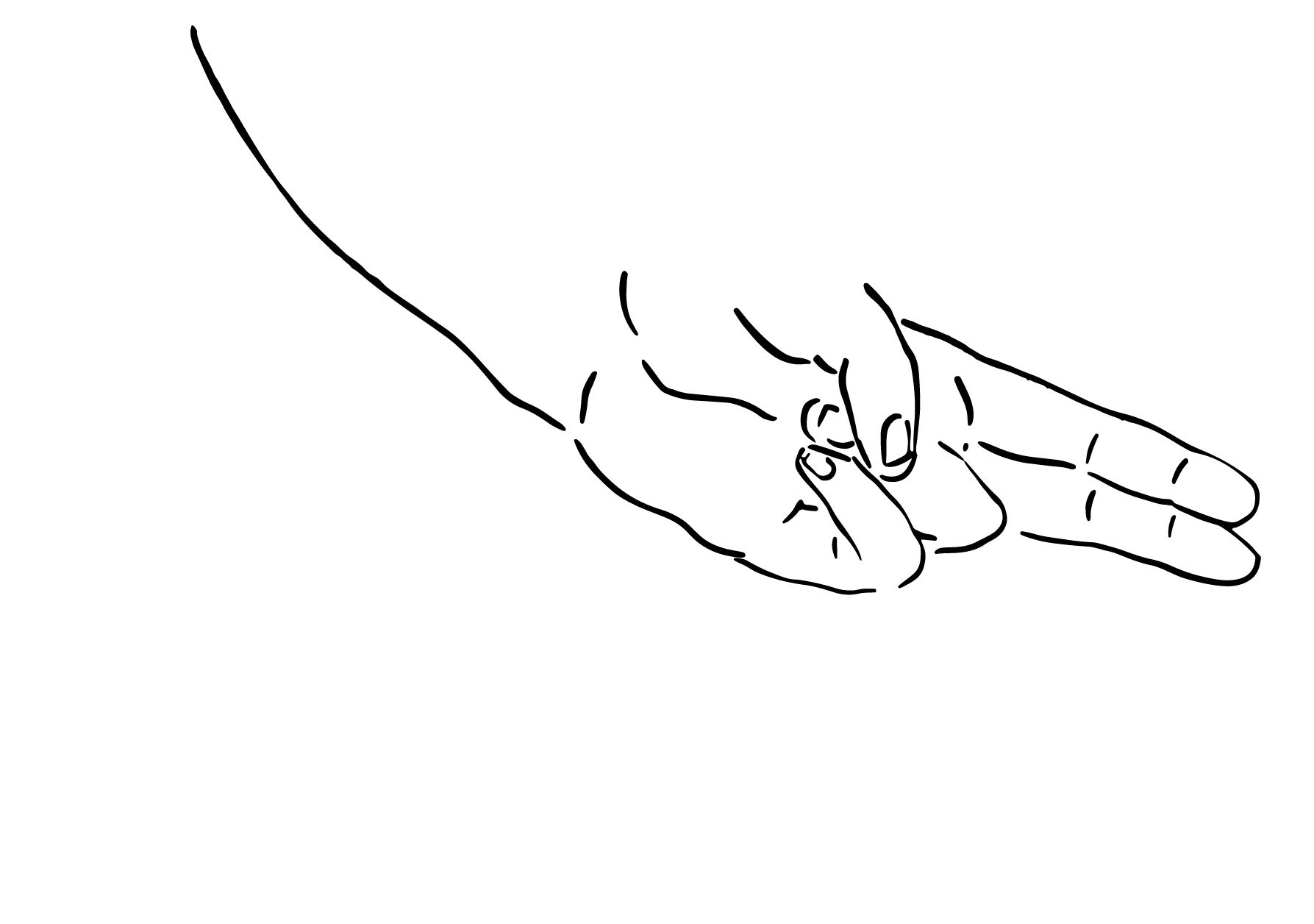 Bifrons - En demon ved Nidarosdomen